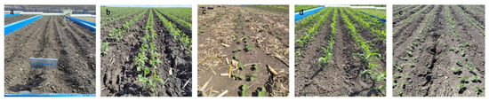 Dynamic Change Patterns of Soil Surface Roughness and Influencing ...
