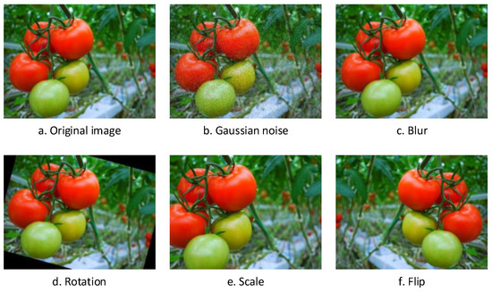 A Lightweight YOLOv8 Tomato Detection Algorithm Combining Feature ...