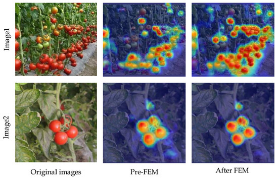 A Lightweight YOLOv8 Tomato Detection Algorithm Combining Feature Enhancement and Attention