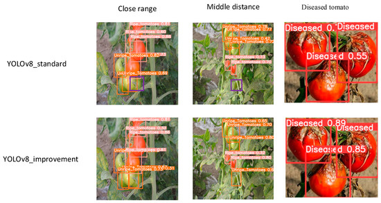 A Lightweight YOLOv8 Tomato Detection Algorithm Combining Feature Enhancement and Attention