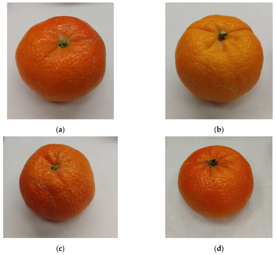 Morphological and Biochemical Characterization of Late-Season Varieties ...