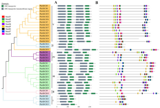 Genome-Wide Identification, Expansion, Evolution, and Expression ...