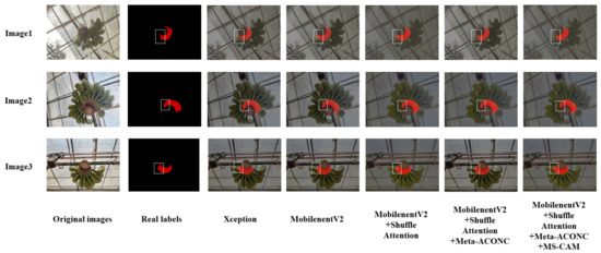 Method for Segmentation of Banana Crown Based on Improved DeepLabv3+