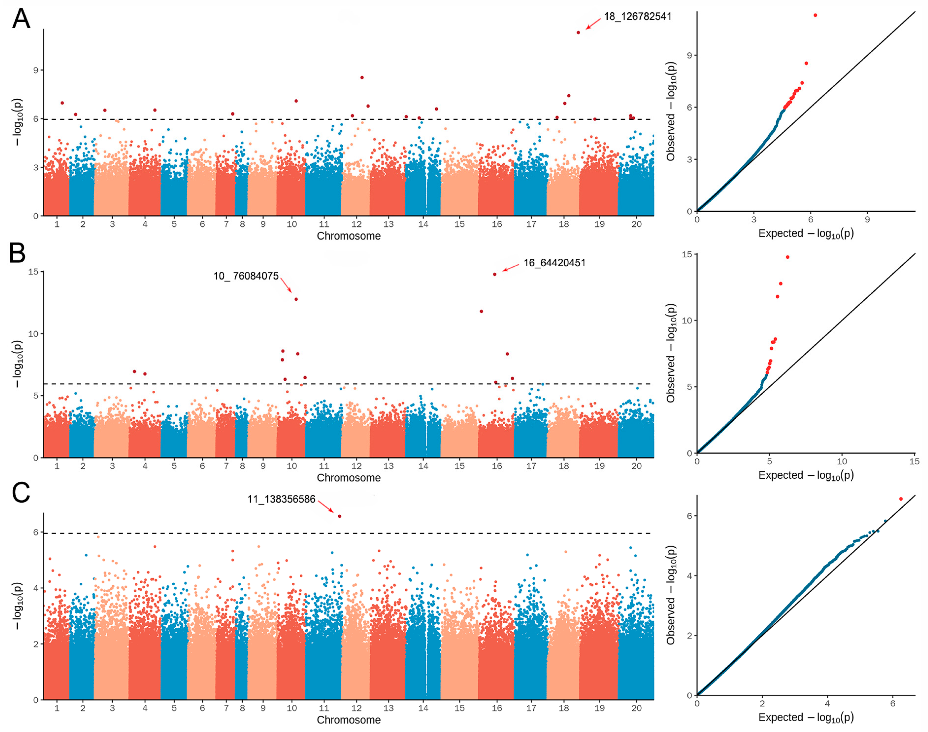Genome-Wide Association Studies Revealed the Genetic Loci and Candidate Genes of Pod-Related ...