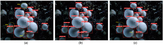 Agronomy | Free Full-Text | An Improved YOLOv5s-Based Agaricus bisporus Detection Algorithm