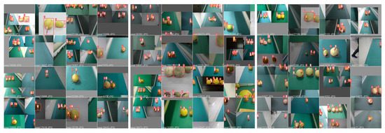 Agronomy | Free Full-Text | ECLPOD: An Extremely Compressed Lightweight Model for Pear Object ...