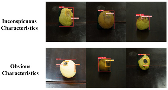 Agronomy | Free Full-Text | ECLPOD: An Extremely Compressed Lightweight Model for Pear Object ...