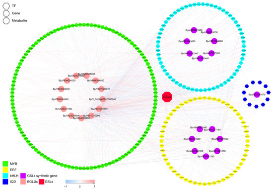 Agronomy | Free Full-Text | Comparative Transcriptomics Reveal the Mechanisms Underlying the ...