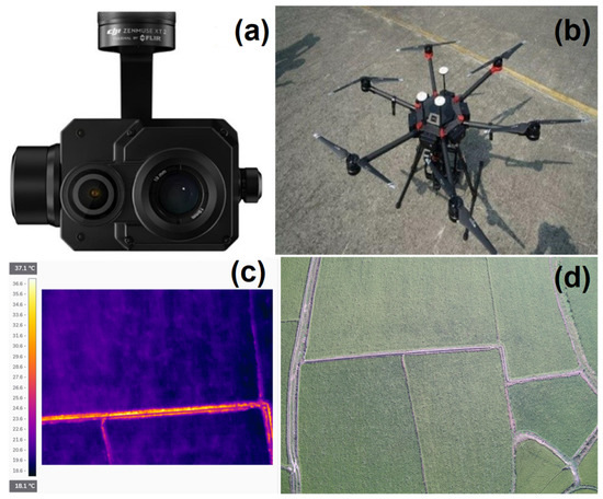 Identification of Water Layer Presence in Paddy Fields Using UAV-Based Visible and Thermal ...