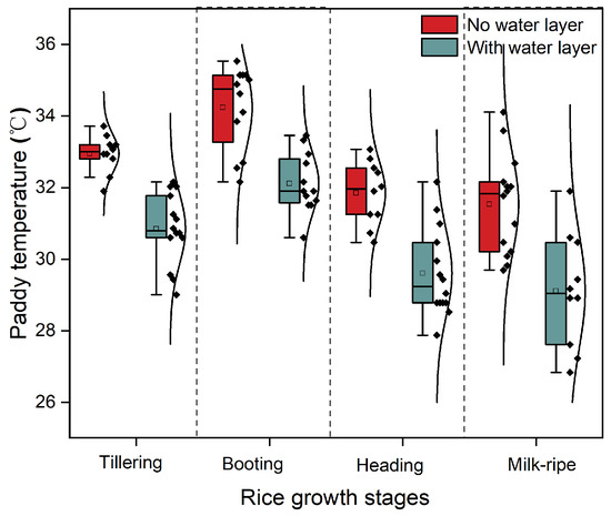 Identification of Water Layer Presence in Paddy Fields Using UAV-Based ...