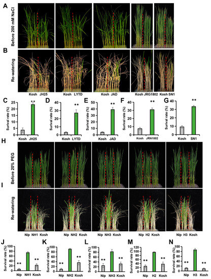 Genome-Wide Scan for Genetic Signatures Based on the Whole-Genome ...