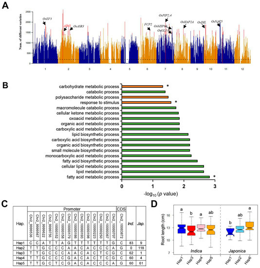 Genome-Wide Scan for Genetic Signatures Based on the Whole-Genome ...