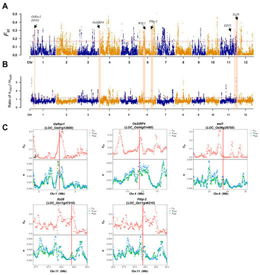 Genome-Wide Scan for Genetic Signatures Based on the Whole-Genome ...