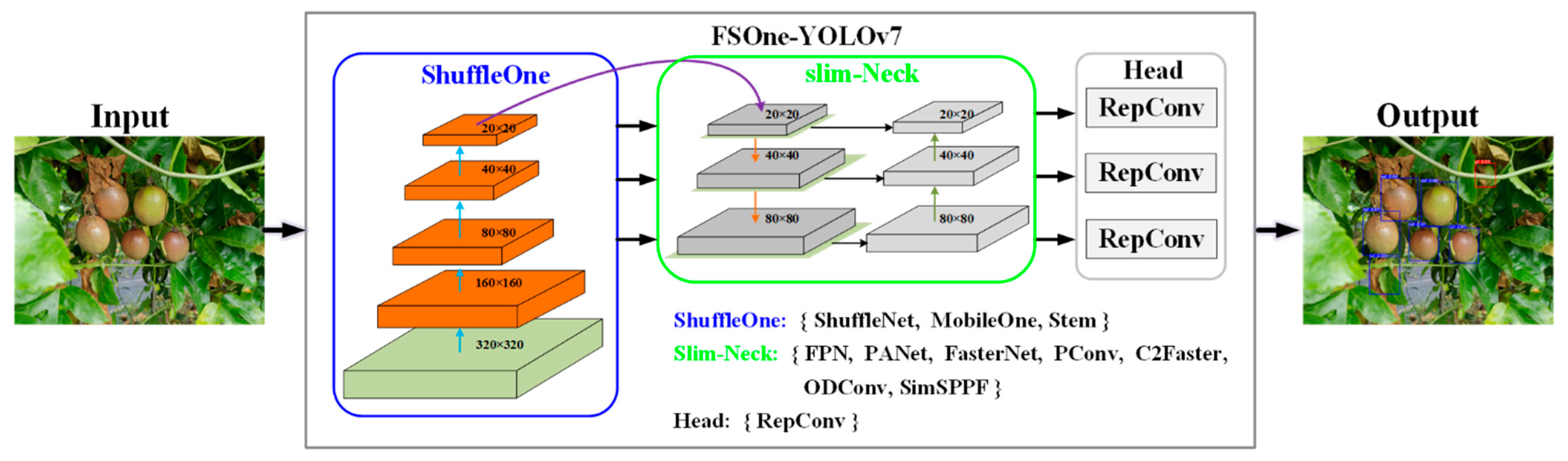 Research and Explainable Analysis of a Real-Time Passion Fruit Detection Model Based on FSOne-YOLOv7