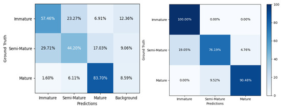 A Grape Dataset for Instance Segmentation and Maturity Estimation