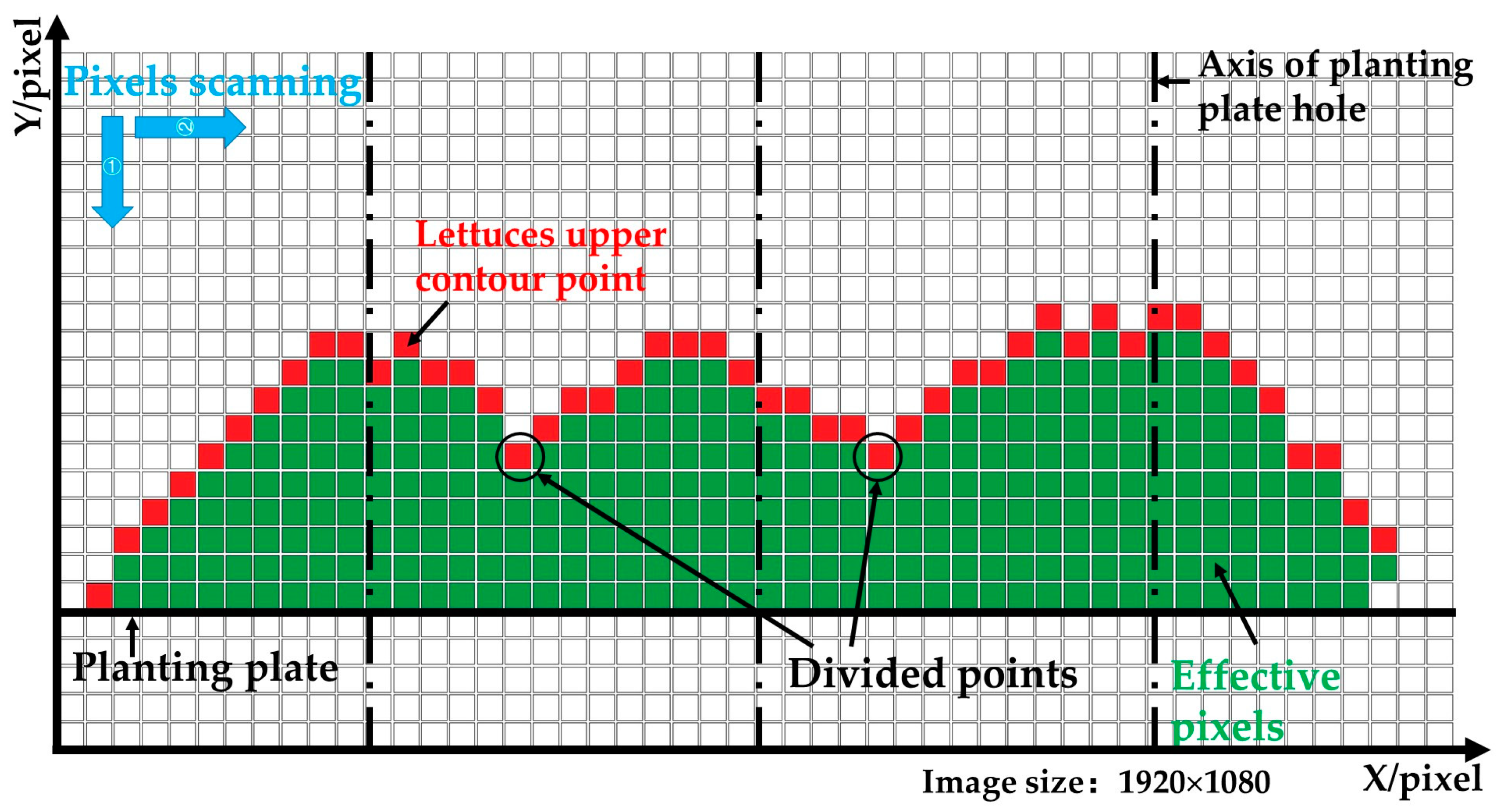 A Visual Method of Hydroponic Lettuces Height and Leaves Expansion Size ...