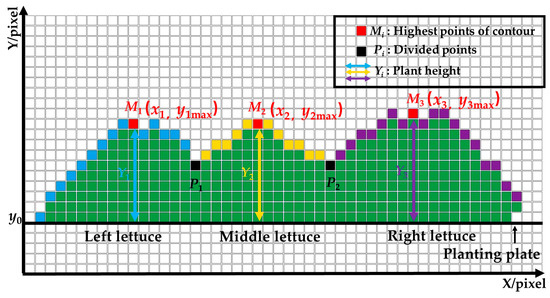 A Visual Method of Hydroponic Lettuces Height and Leaves Expansion Size ...