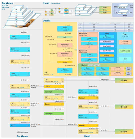 DCF-Yolov8: An Improved Algorithm for Aggregating Low-Level Features to Detect Agricultural ...