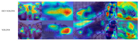 DCF-Yolov8: An Improved Algorithm for Aggregating Low-Level Features to ...