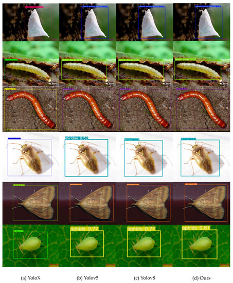 DCF-Yolov8: An Improved Algorithm for Aggregating Low-Level Features to Detect Agricultural ...