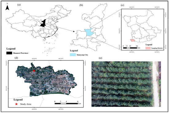 Hyperspectral Estimation of Chlorophyll Content in Apple Tree Leaf ...