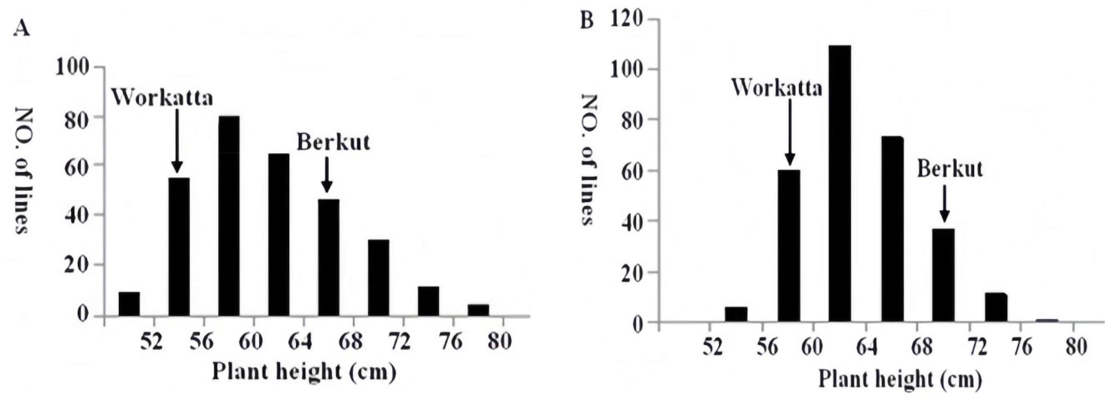 Quantitative Trait Locus (QTL) Mapping for Common Wheat Plant Heights ...