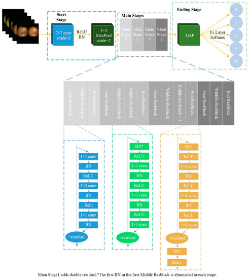 Detection of Fundamental Quality Traits of Winter Jujube Based on Computer Vision and Deep Learning