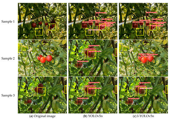 A Lightweight Cherry Tomato Maturity Real-Time Detection Algorithm Based on Improved YOLOV5n
