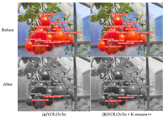 A Lightweight Cherry Tomato Maturity Real-Time Detection Algorithm Based on Improved YOLOV5n