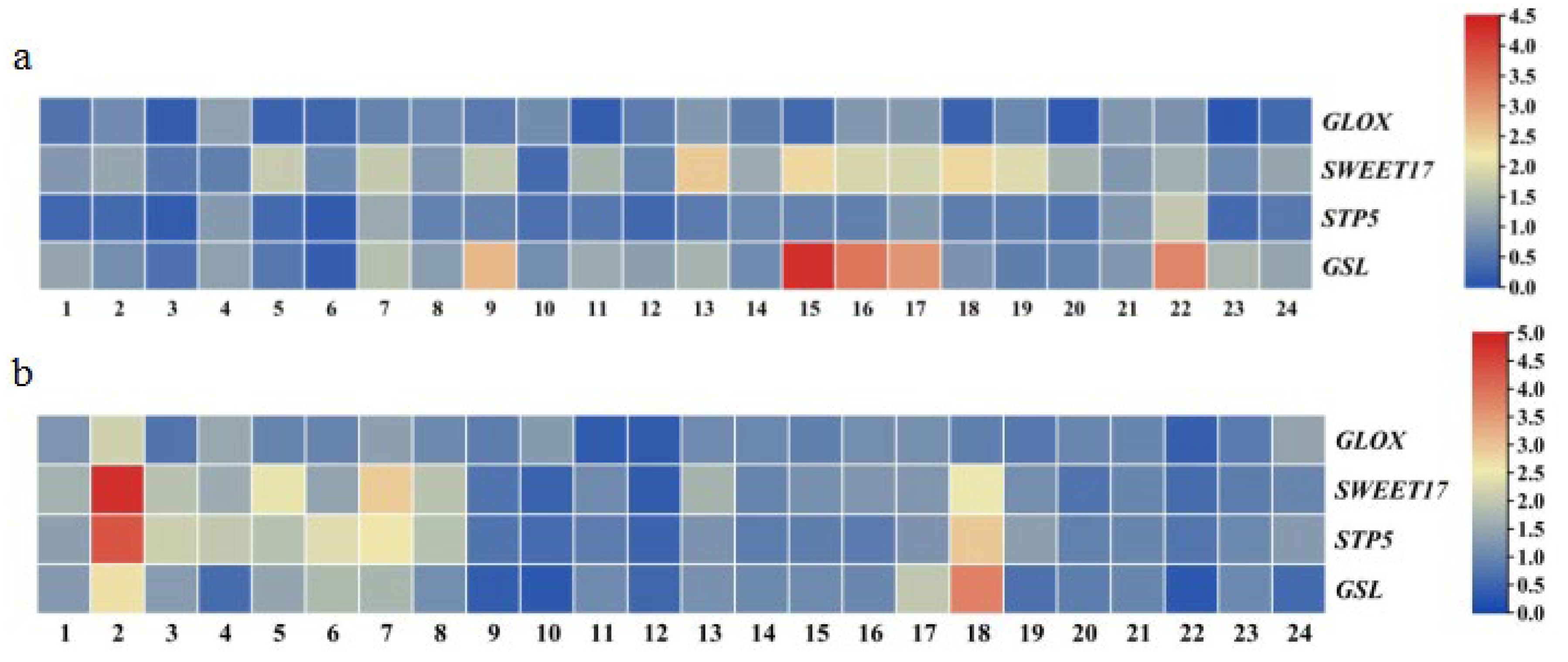 Agronomy | Free Full-Text | Comparative Study of Bolting Adaptability ...