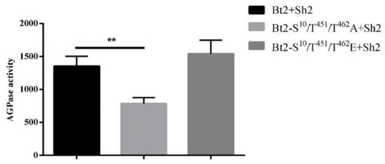 Effect of Phosphorylation Sites Mutations on the Subcellular ...