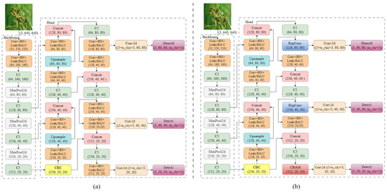 Agronomy | Free Full-Text | Deep-Learning-Based Rice Disease and Insect ...