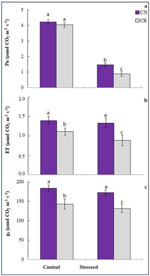 The Key Physiological and Biochemical Traits Underlying Common Bean ...