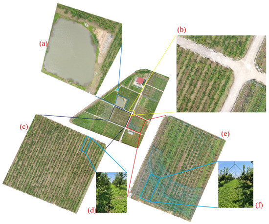 Real-Time Localization and Colorful Three-Dimensional Mapping of Orchards Based on Multi-Sensor ...