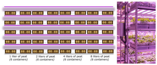 Analysis of Cross-Influence of Microclimate, Lighting, and Soil ...
