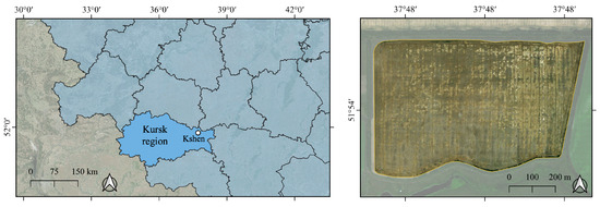 Agronomy | Free Full-Text | Soil Dynamics and Crop Yield Modeling Using ...