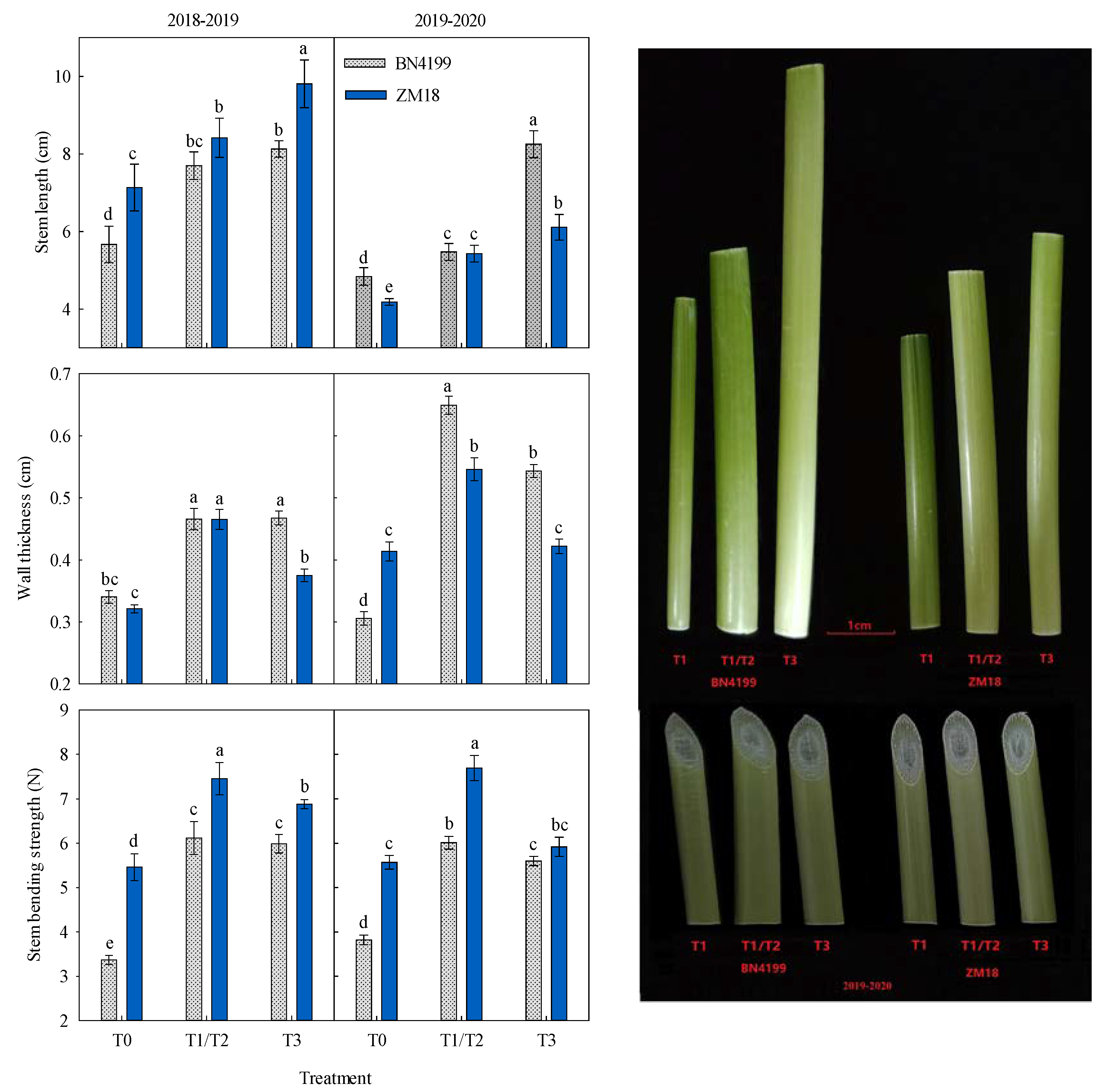 Agronomy | Free Full-Text | Improving Stem Lodging Resistance, Yield ...