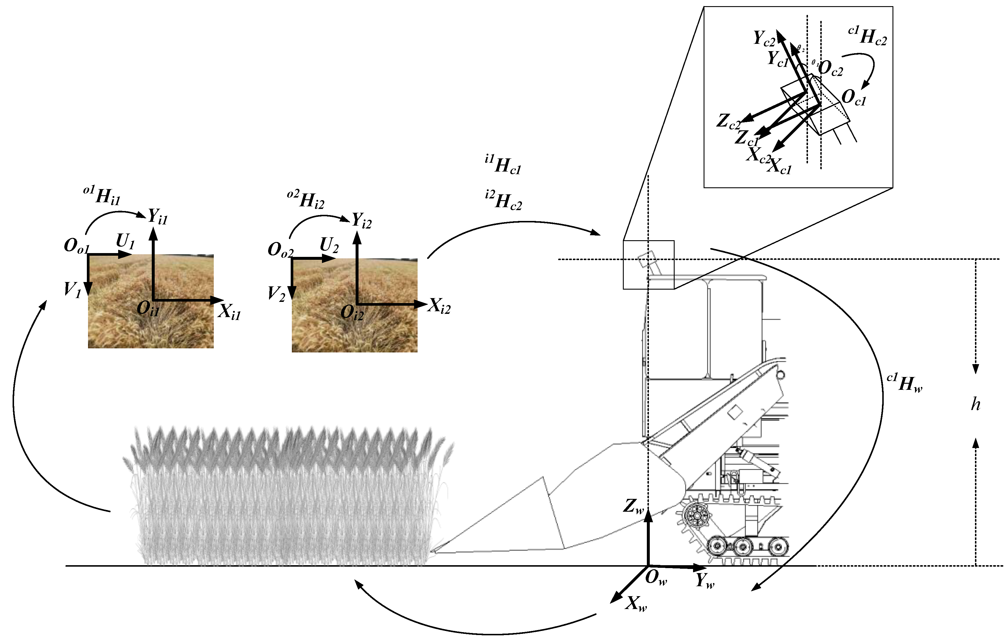 Agronomy | Free Full-Text | Wheat Lodging Direction Detection for Combine Harvesters Based on ...