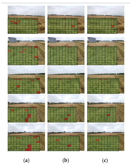 Agronomy | Free Full-Text | Wheat Lodging Direction Detection for Combine Harvesters Based on ...