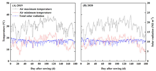 Reducing Irrigation and Increasing Plant Density Enhance Both Light ...