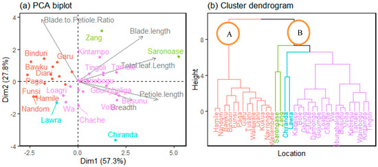 Elucidation of the Genetic Diversity within Some In Situ Shea Germplasm ...