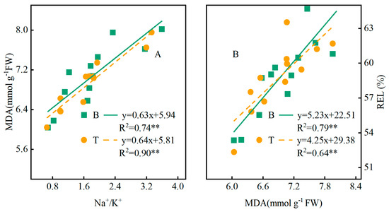 Combined Effects of Straw Return with Nitrogen Fertilizer on Leaf Ion ...