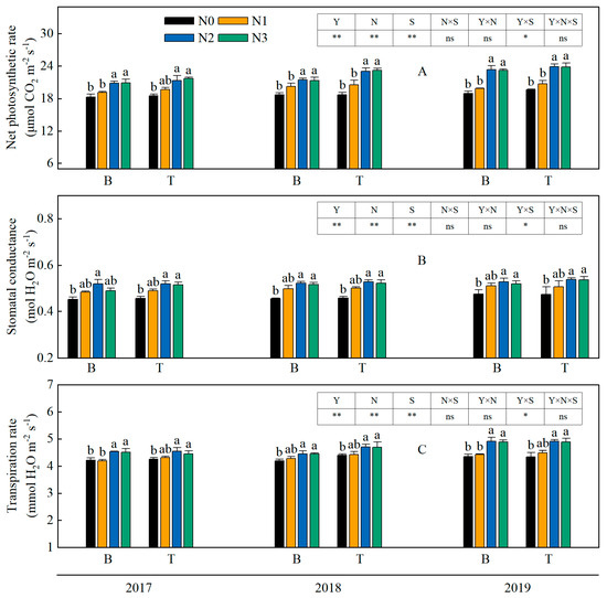 Combined Effects of Straw Return with Nitrogen Fertilizer on Leaf Ion ...