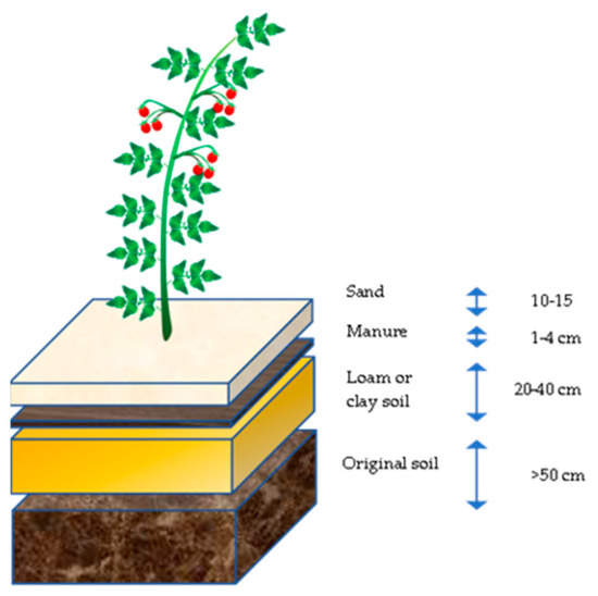 Biofertilizers Enriched with PGPB Improve Soil Fertility and the ...
