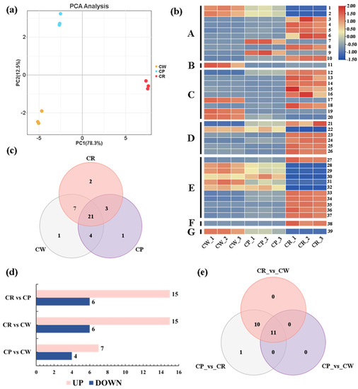 Integrated Transcriptomics and Metabolomics Analysis Reveal Anthocyanin Biosynthesis for Petal ...