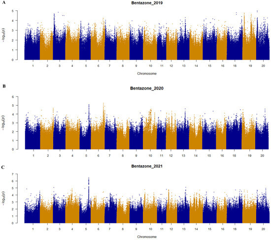 Genetic Dissection of Bentazone Tolerance Loci in Cultivated Soybeans ...