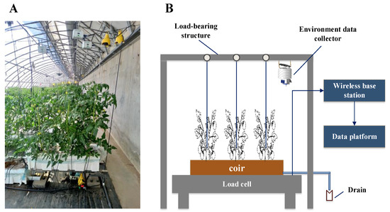 A Hybrid Prediction Model for CatBoost Tomato Transpiration Rate Based on Feature Extraction