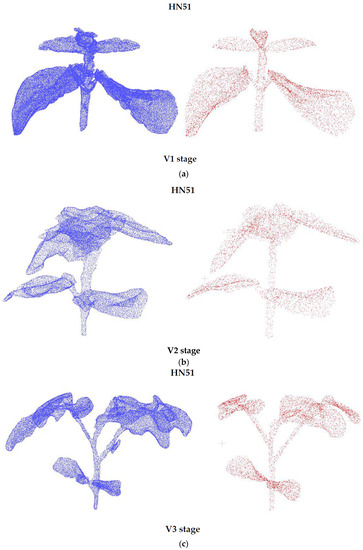 An Efficient and Automated Image Preprocessing Using Semantic Segmentation for Improving the 3D ...