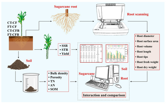Fenlong-Ridging Deep Tillage Integrated with Biochar and Fertilization ...