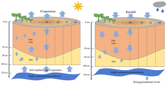 Non-Synergistic Changes in Migration Processes between Soil Salt and ...